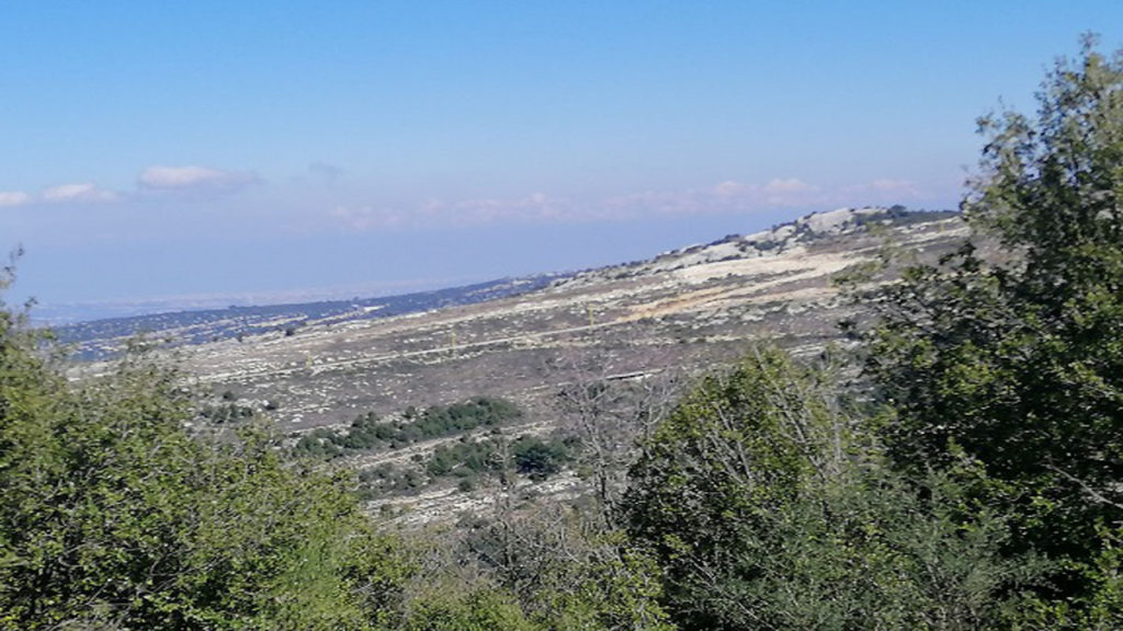 PL#0229 Hadtoun Batroun Plot 593 P2 – BYBLOS ESTATE
